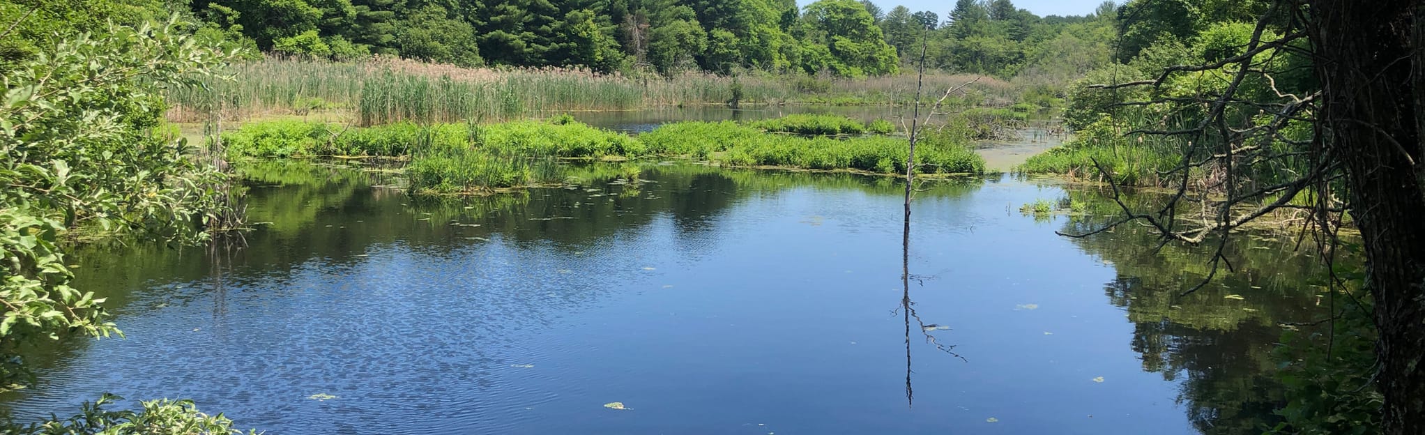 Pratt Farm Great Mill Ponds Loop, Massachusetts - 75 Reviews, Map ...