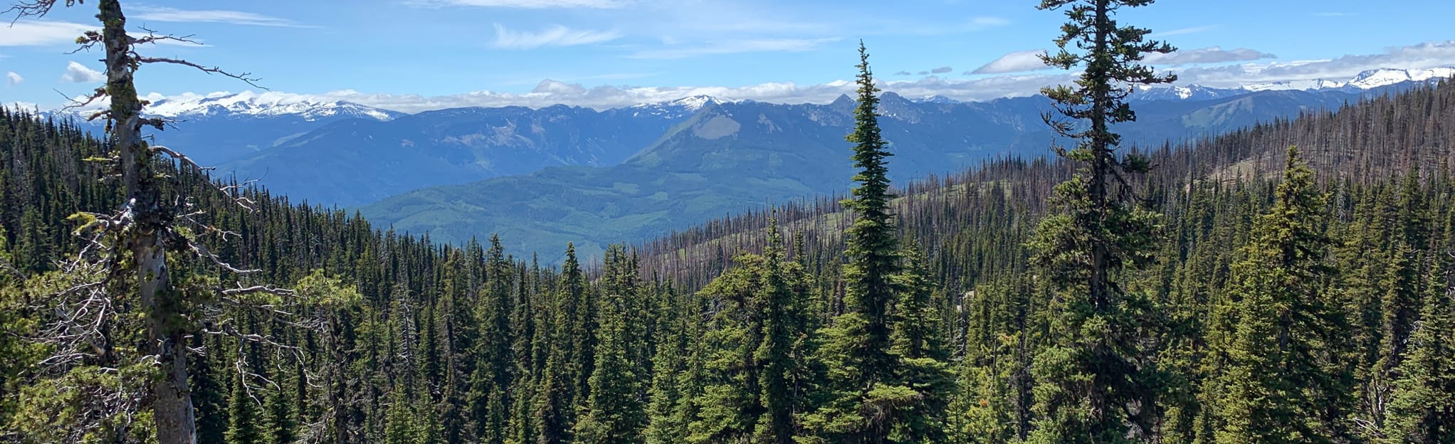 Mad Lake Loop, Washington - 8 Reviews, Map | AllTrails