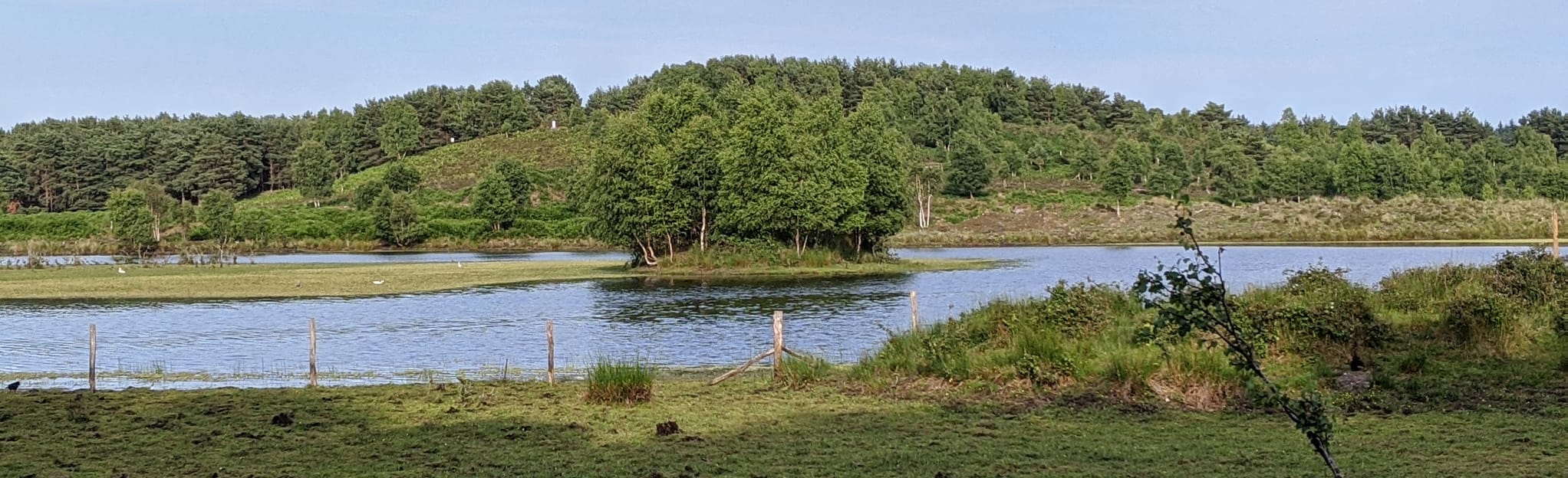 Woolmer Forest and Brimstone Inclosure Circular, Hampshire, England ...