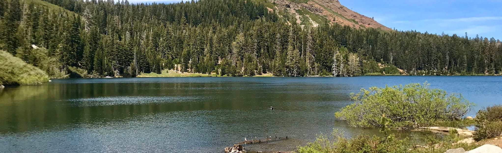 Round Lake Trail, California - 234 Reviews, Map | AllTrails