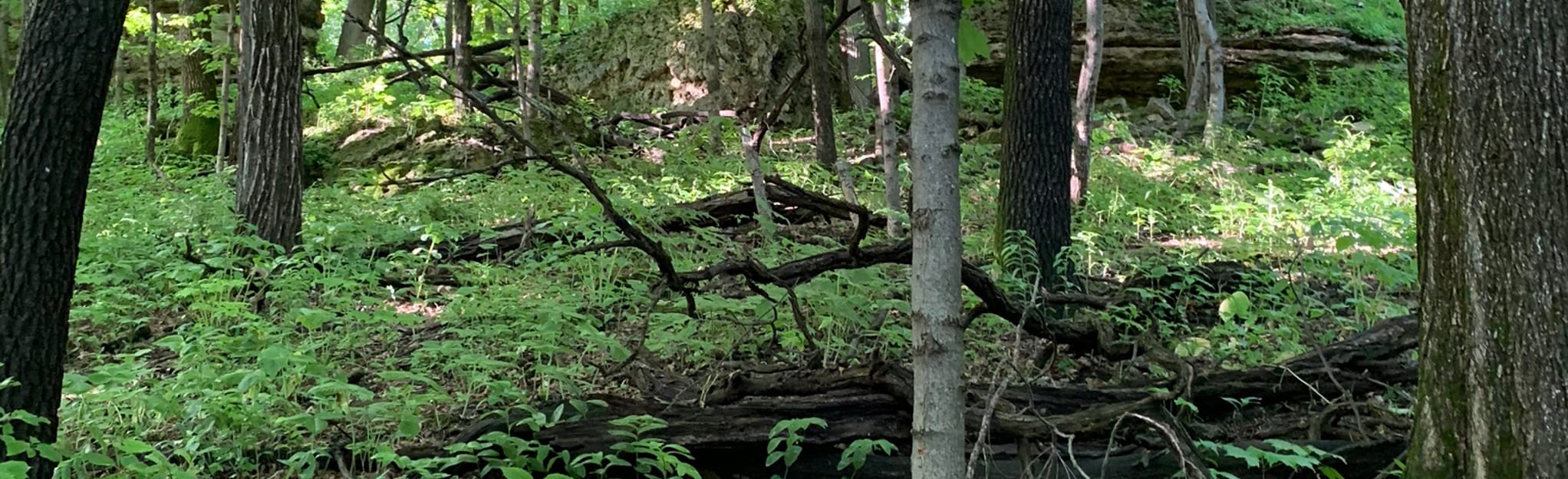 Belmont Mound | Map, Guide - Wisconsin | AllTrails