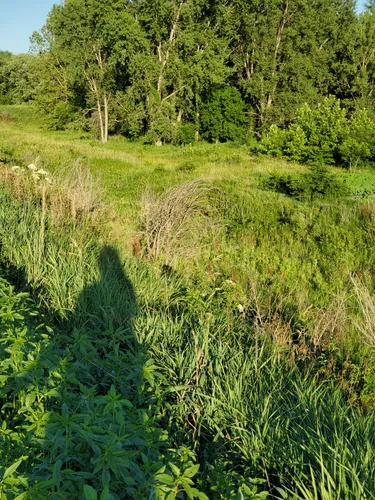 Best Hikes and Trails in Nodaway Valley Conservation Area | AllTrails