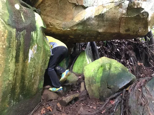 2023 Best Trails, Walks, and Paths in Bangar | AllTrails