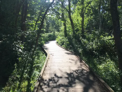 Best Hikes and Trails in Ainsdale Sand Dunes Nature Reserve | AllTrails