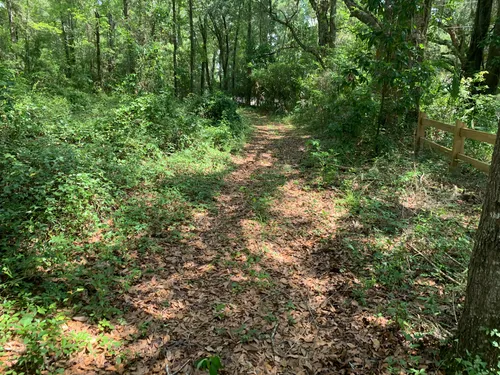 Best Hikes and Trails in Flemington Community Park | AllTrails