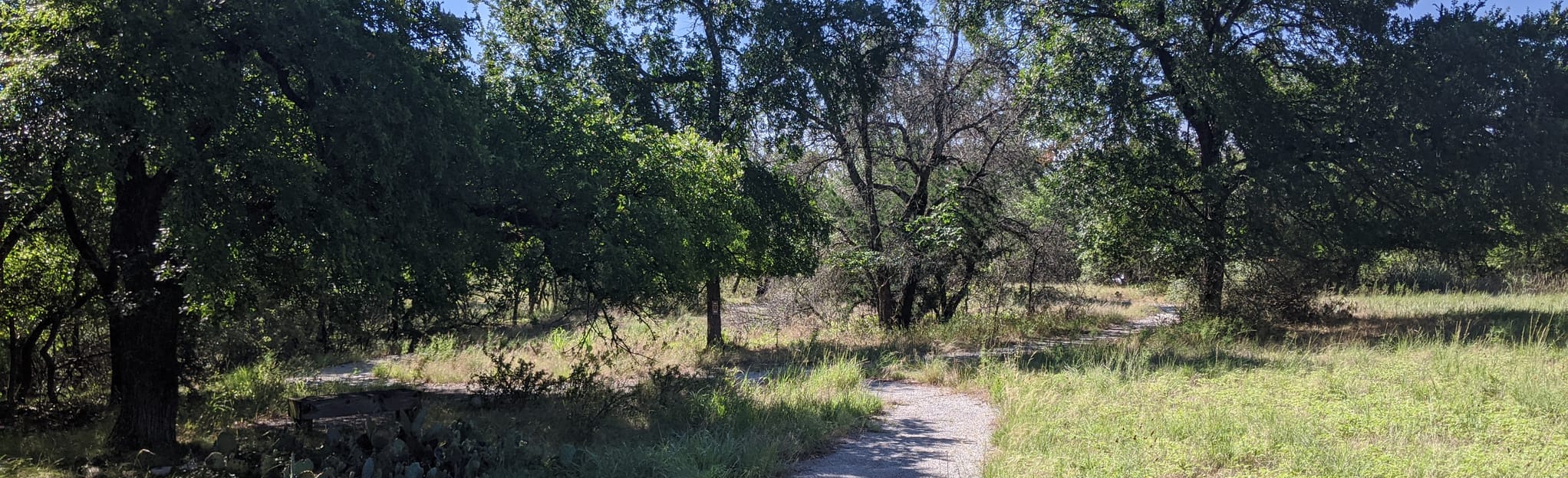 Limestone Ledge Trail: 29 Reviews, Map - Texas | AllTrails