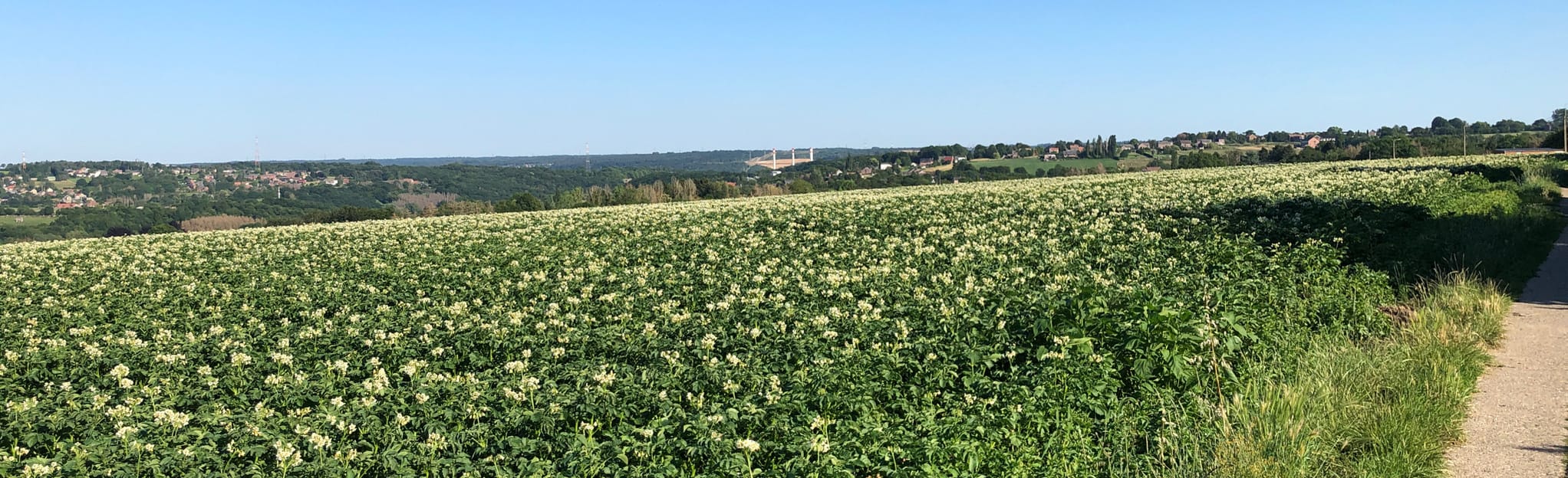 Ruisseaux des Awirs : 29 Photos - Liège, Belgique | Randonnée | AllTrails