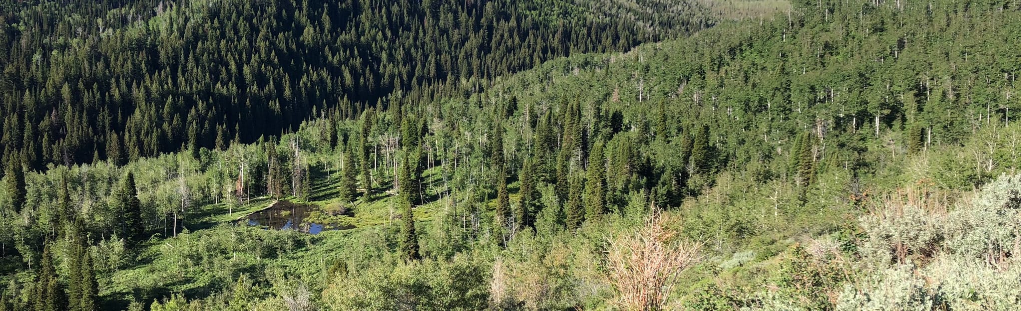 Card Canyon Loop: 70 Reviews, Map - Utah | AllTrails