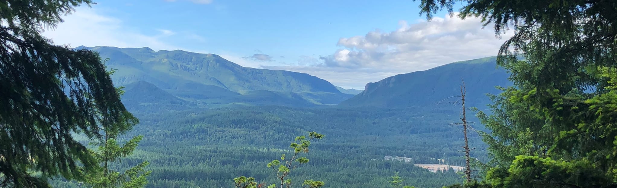 Mount Teneriffe via Kamikaze Trail, Washington - 669 Reviews, Map ...