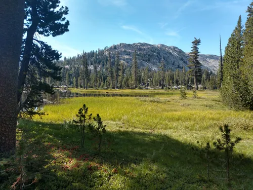 2023 Best 10 Camping Trails in Emigrant Wilderness | AllTrails