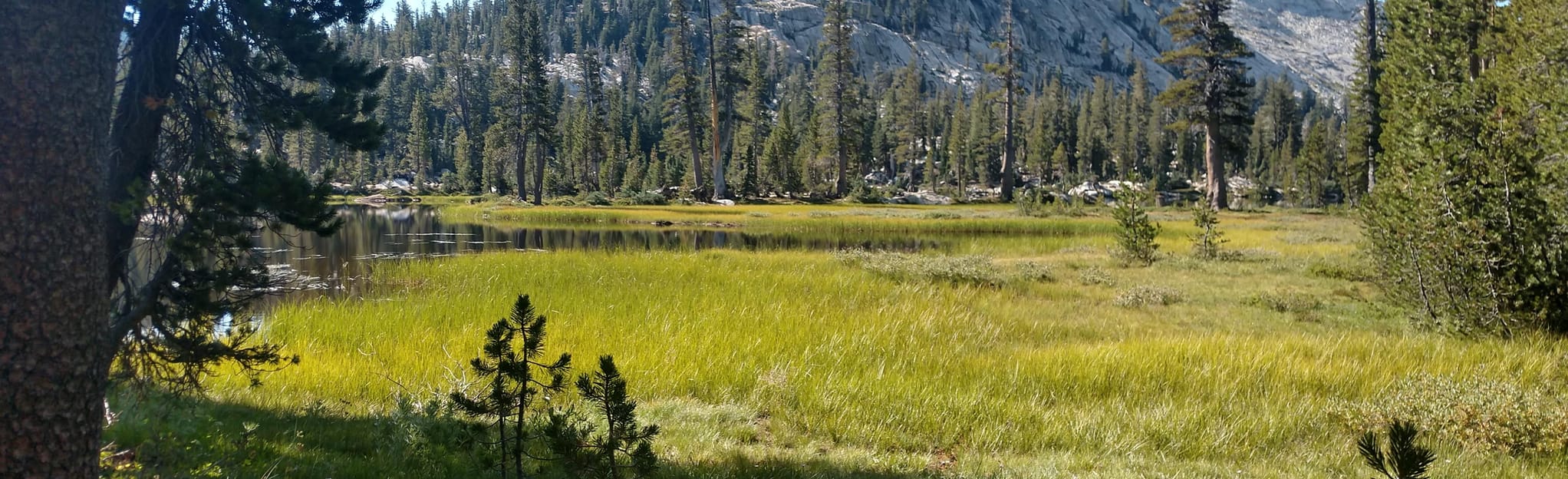 Emigrant Wilderness and Sachse Monument Loop, California - 6 Reviews ...
