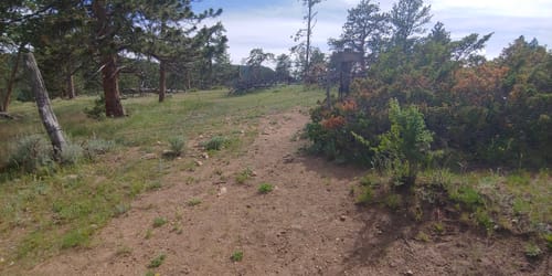 2023 Best 10 Trails and Hikes in Red Feather Lakes | AllTrails