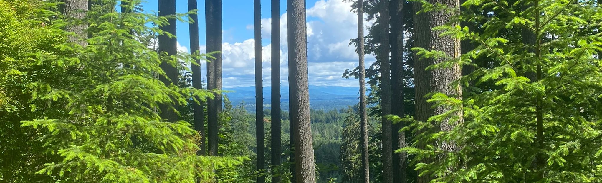 AllTrails | Mount Molly via Waddell Basin West Trail: 81 Reviews, Map ...