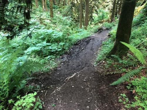 10 Best Trails and Hikes in Chilliwack | AllTrails