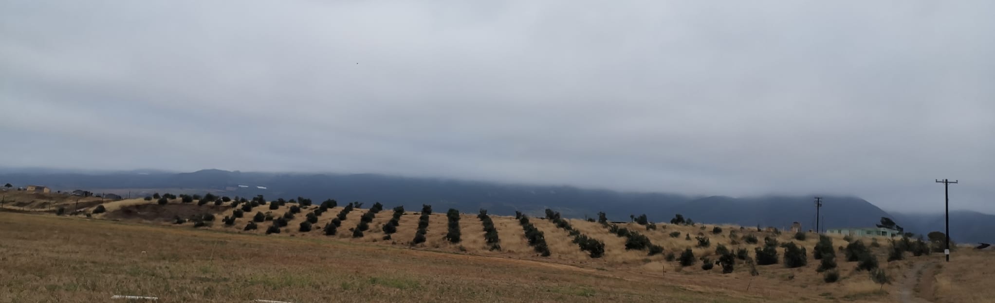 Circuito Maneadero, Baja California, Mexico - 4 Reviews, Map | AllTrails