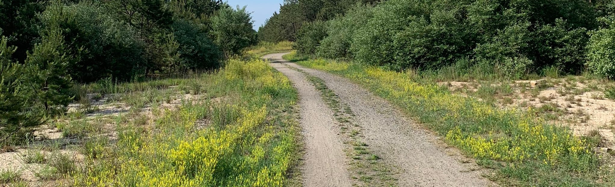 Edgewood Oak Brush Plains Preserve Mountain Bike Trail: 1,473 Reviews ...