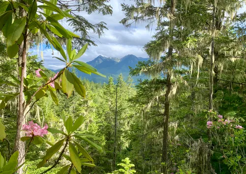 10 Best Trails and Hikes in Sequim | AllTrails