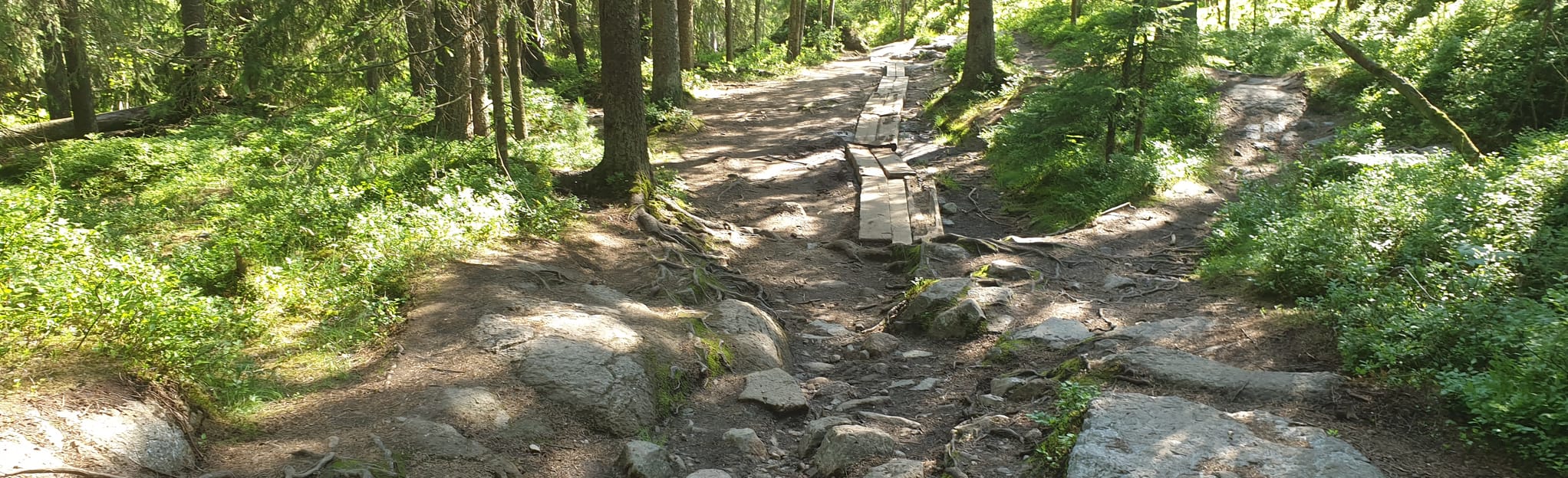 Trailrunning Event: Ivar Formos Minneløp (Memorial race): 115 foto's ...