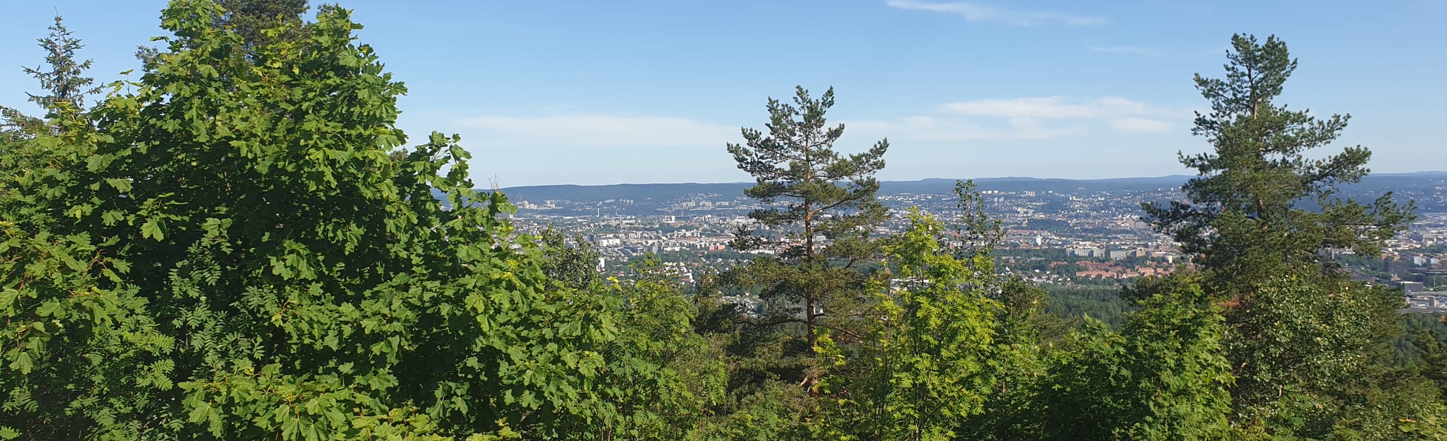 Vettakollen: 68 Reviews, Map - Oslo, Norway | AllTrails