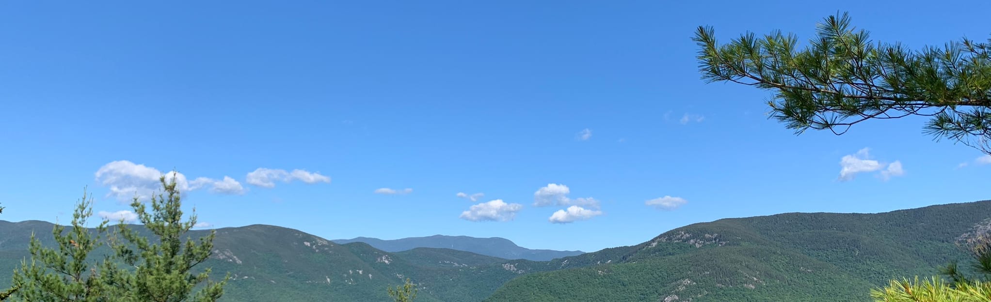 Blueberry Mountain via Bickford Brook and Blueberry Ridge Trail Trail ...