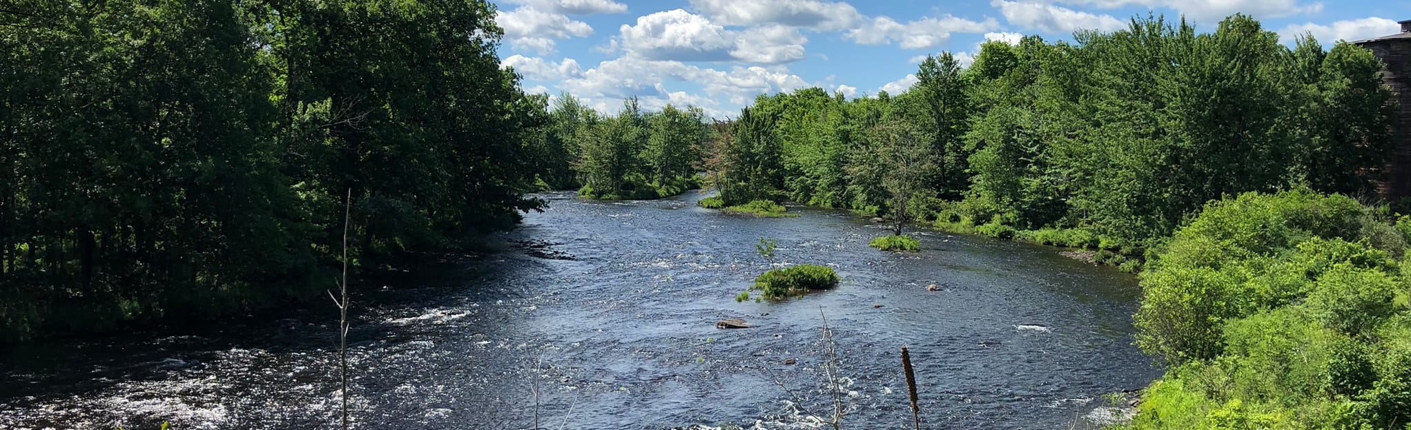 Red Sandstone Trail, New York - 164 Reviews, Map | AllTrails