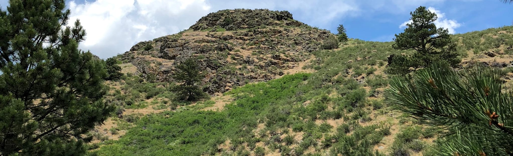 Wells Gulch Nature Trail to Timber Trail, Colorado - 252 Reviews, Map ...