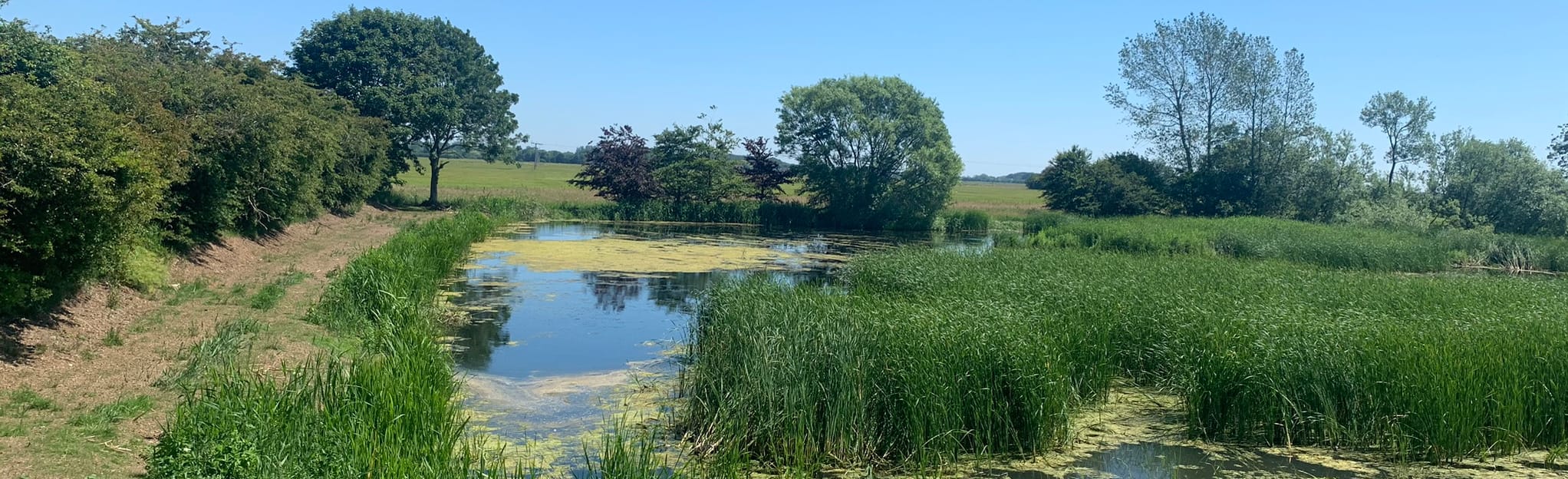 Tetney Lock, Lincolnshire, England - 5 Reviews, Map | AllTrails