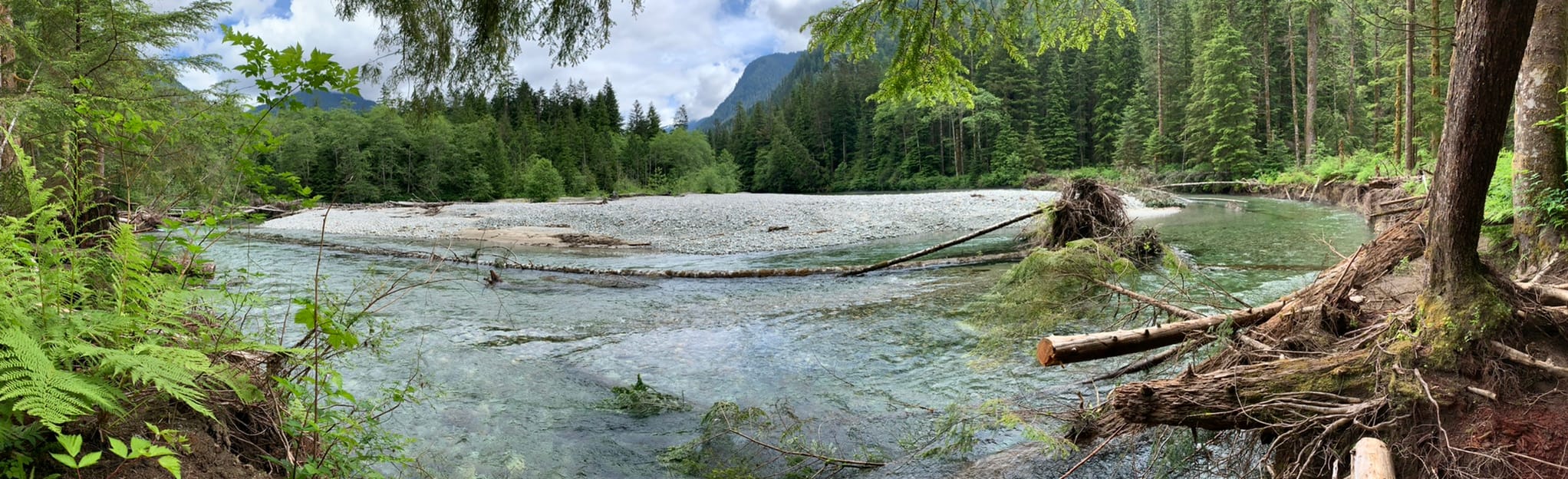 Hector Ferguson Lake Trail, British Columbia, Canada - 38 Reviews, Map ...