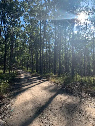 10 Best Hikes and Trails in Daisy Hill Conservation Park | AllTrails