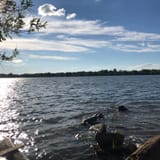 Lake Wilcox Park Loop, Ontario, Canada - 262 Reviews, Map | AllTrails