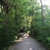 Lake Wilcox Park Loop, Ontario, Canada - 262 Reviews, Map | AllTrails