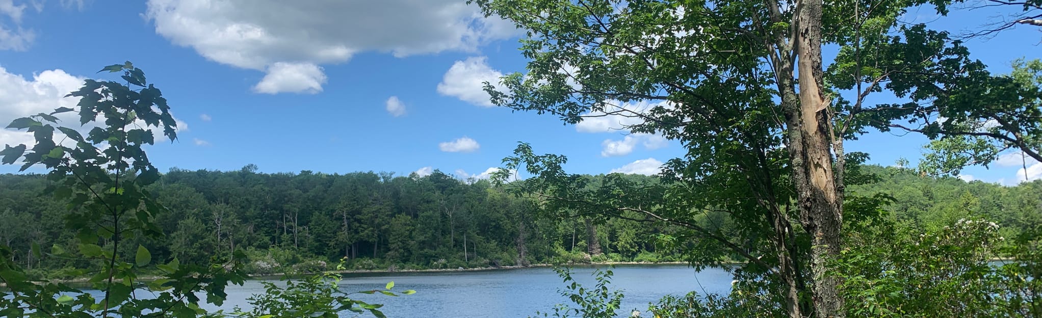 Appalachian Trail: Pittsfield Road to Goose Pond, Massachusetts - 89 ... Appalachian Trail: Pittsfield Road to Goose Pond, Massachusetts - 89 ...