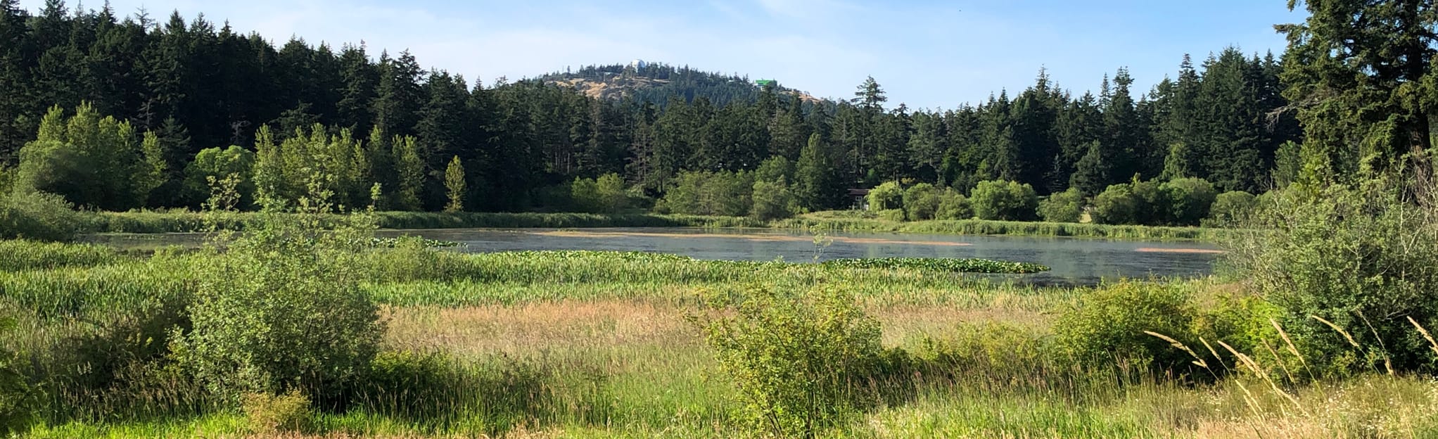 AllTrails | Glendale Trail Loop : 70 Reviews, Map - British Columbia ...