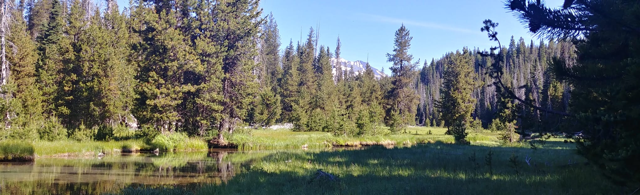 Appaloosa Trail, Metolius-Windigo Trail, and Quinn Creek Trail Loop ...
