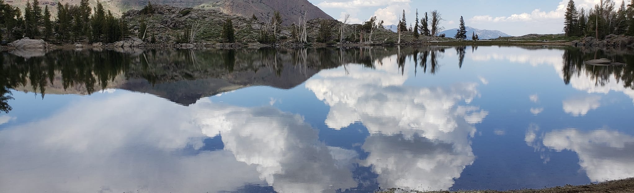 Lost Lakes via PCT Carson Pass, California - 44 Reviews, Map | AllTrails