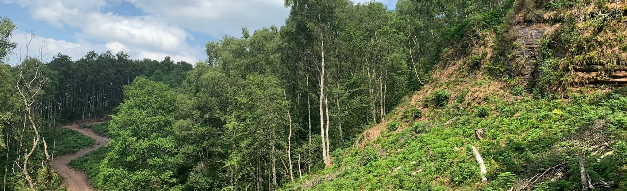 Kinver Edge, Stourton, and Kingsford Forest Park, West Midlands ...