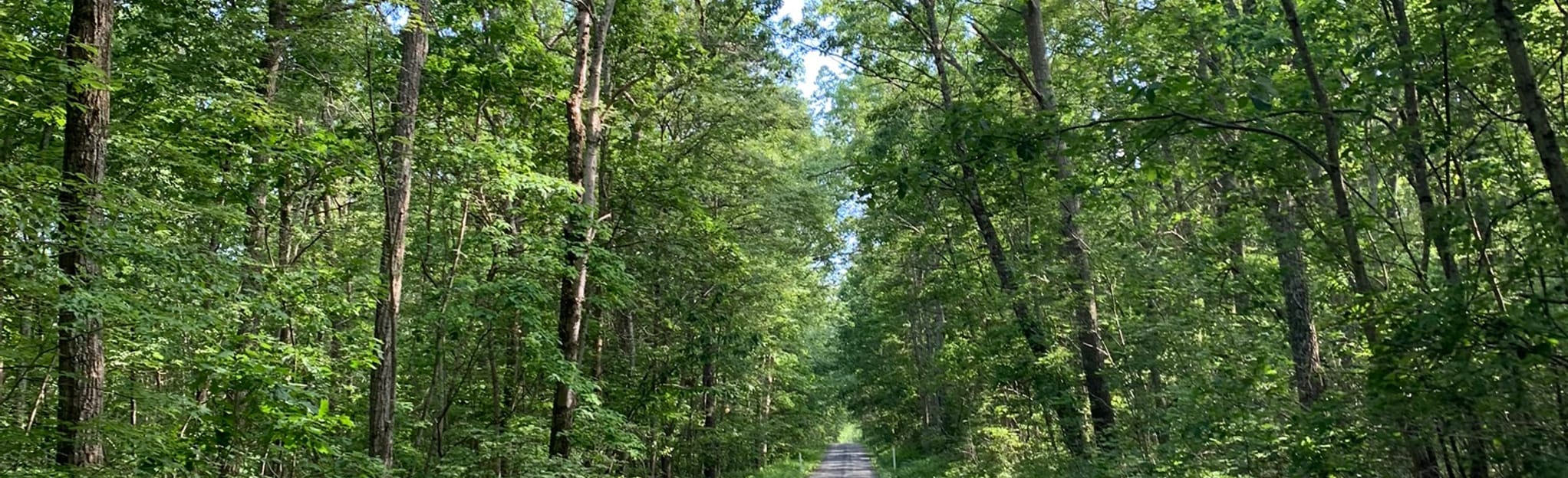 Burnt Mill Trail, Pennsylvania - 14 Reviews, Map | AllTrails