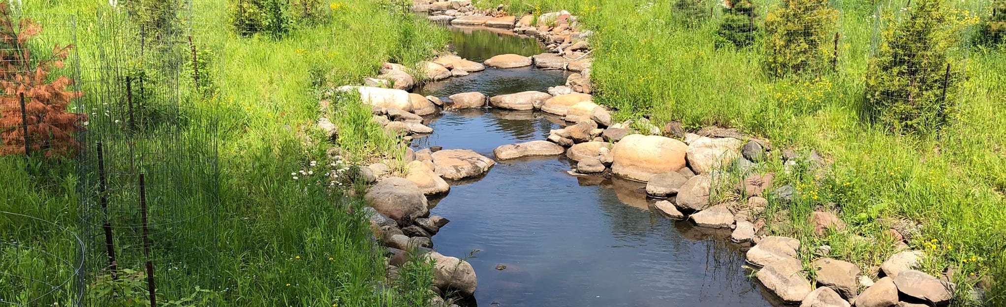 Chester Park Loop, Minnesota - 725 Reviews, Map | AllTrails