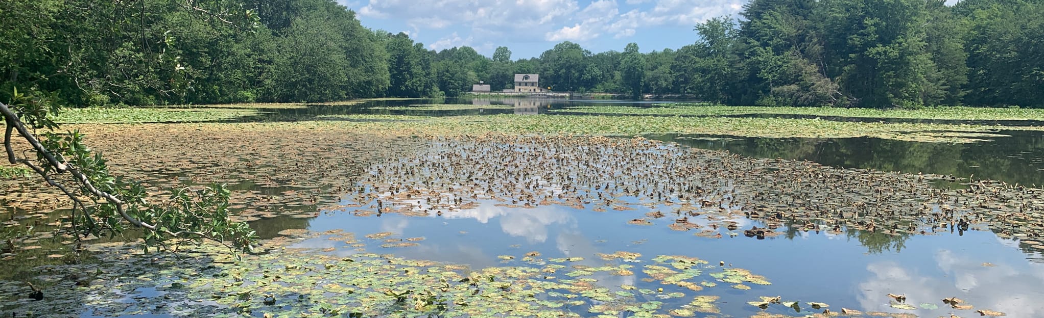 Abbott’s Pond and Johnson Branch, Delaware - 71 Reviews, Map | AllTrails