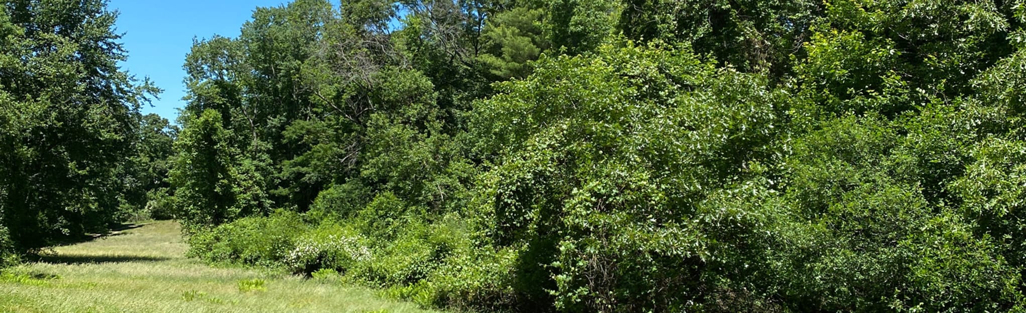 Bradley Palmer Loop, Massachusetts - 277 Reviews, Map | AllTrails