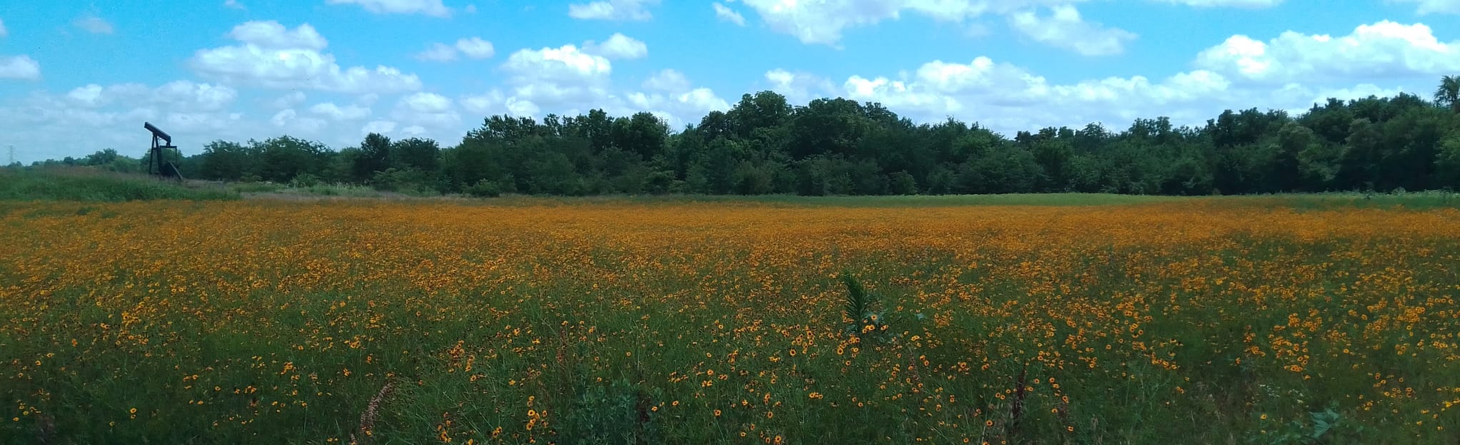 SCIP White, Blue and Green Loop, Oklahoma - 200 Reviews, Map | AllTrails