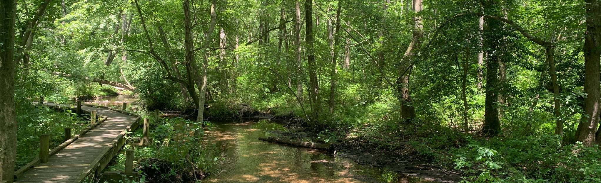 Lee Meadow and Swamp Forest Loop Trail, Delaware - 32 Reviews, Map ...
