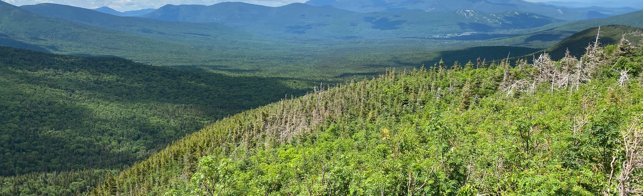 Caps Ridge Trail, New Hampshire - 1,654 Reviews, Map | AllTrails