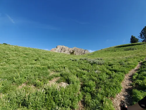 10 Best Trails and Hikes in Sun Valley | AllTrails