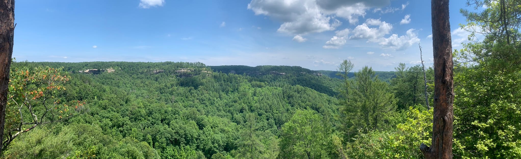 Indian Staircase and Adena Arch Loop: 484 Reviews, Map - Kentucky ...