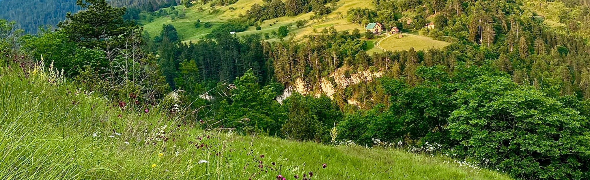 Ravna stena, Zlatiborski upravni okrug, Serbia - 12 Reviews, Map ...