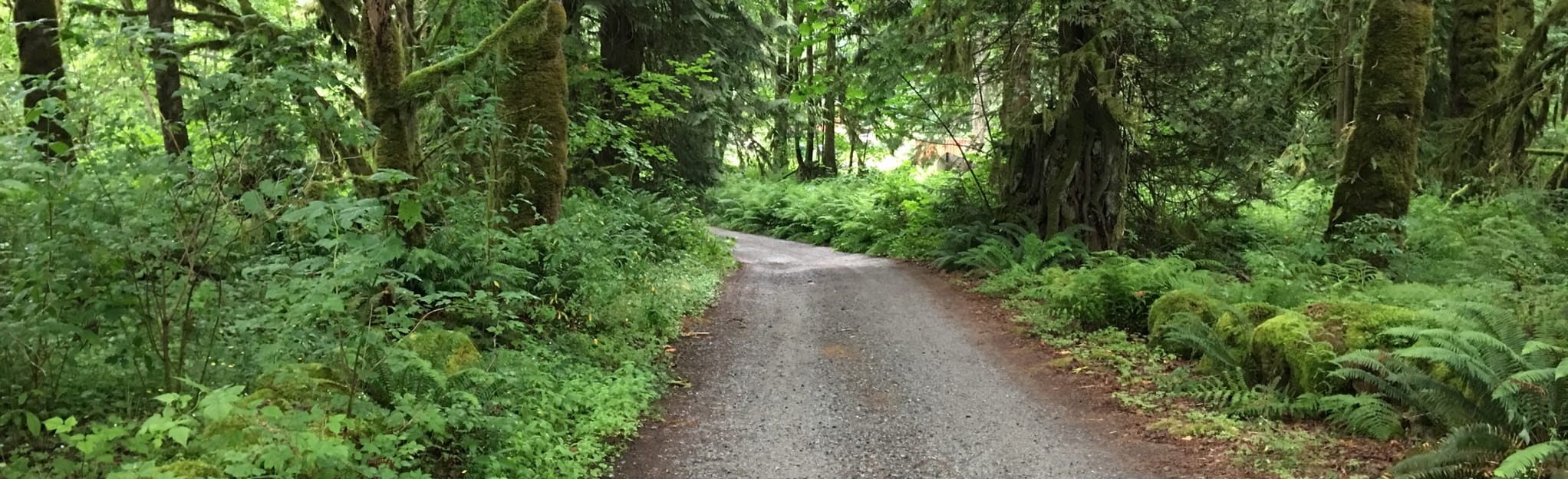 Quarry Road, British Columbia, Canada - 50 Reviews, Map | AllTrails