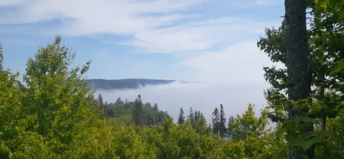 10 Best Hikes and Trails in Little Salmon River Nature Preserve | AllTrails