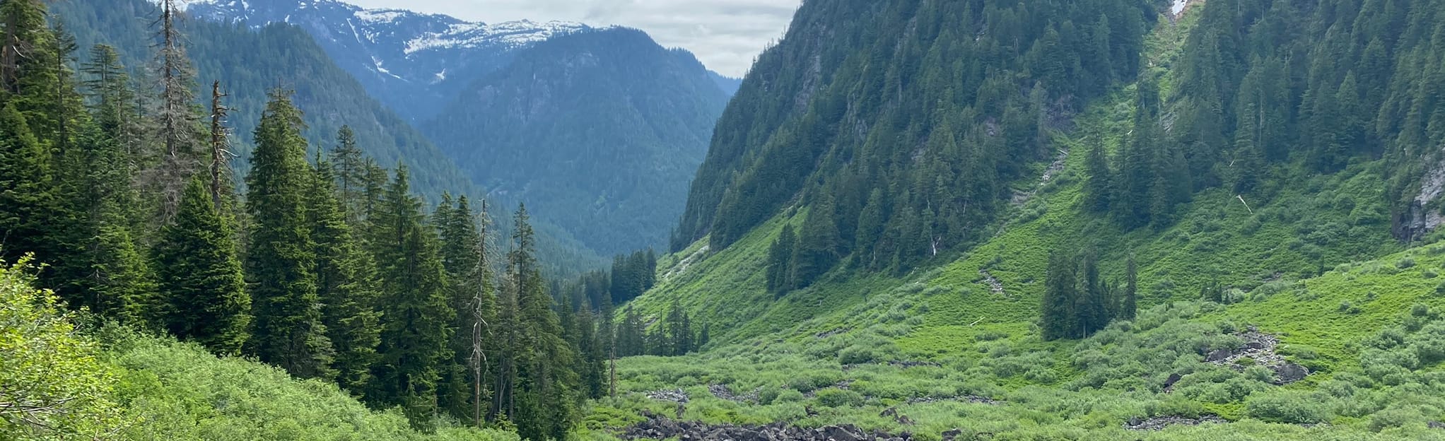 Hanes Valley Loop, British Columbia, Canada - 16 Reviews, Map | AllTrails