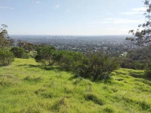 Best 10 Hiking Trails in Waite Conservation Reserve | AllTrails
